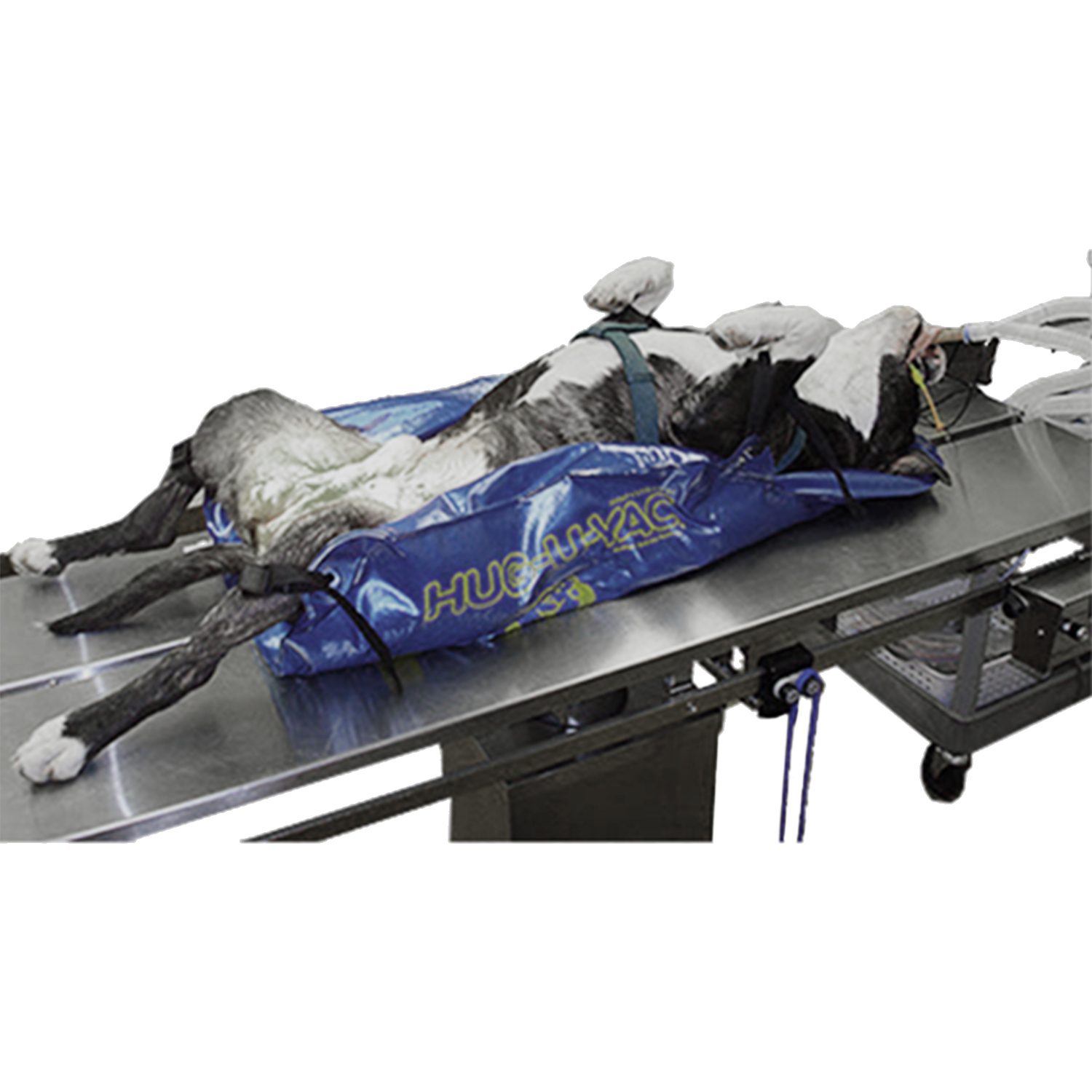 HUG-U-VAC Surgical Positioning System